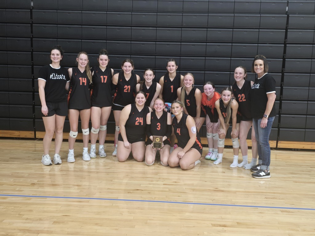 Wildcat Volleyball wins second in Cuba Tournament – The Licking News
